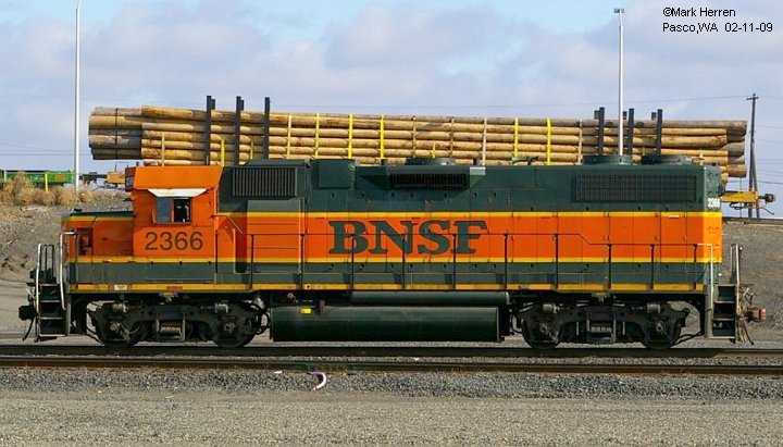 ©Mark Herren--Pasco,WA--Feb. 11, 2009