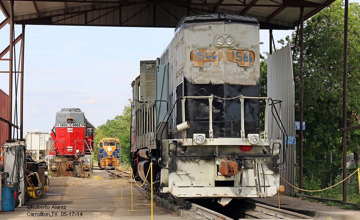 ©Roberto Alaniz--Carrollton,TX--May 17, 2014