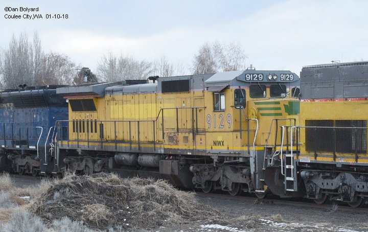 ©Dan Bolyard--Coulee City,WA--Jan. 10, 2018