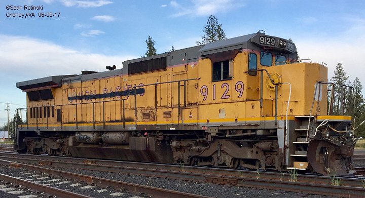 ©Sean Rotinski--Cheney,WA--June 19, 2017