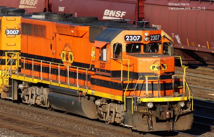 ©Shaun Harris--Vancouver,WA--Jan. 25, 2016