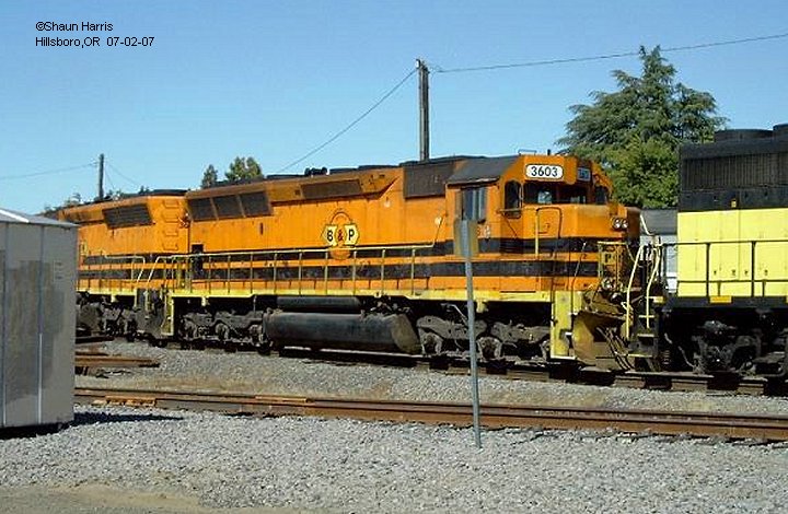 ©Shaun Harris--Hillsboro,OR--July 02, 2007