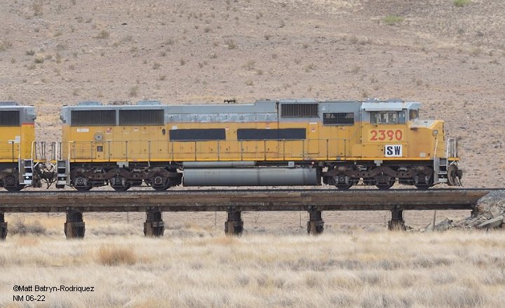 ©Matt Batryn-Rodriguez--NM--June 2022