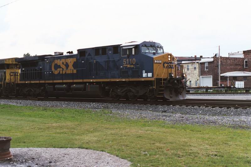 Downsized Image [csx5110.jpg - 70kB]