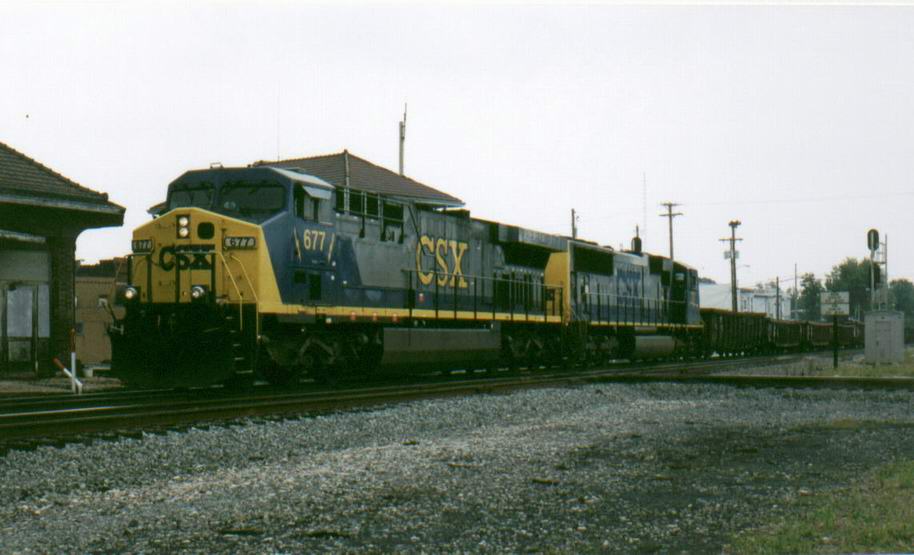 Downsized Image [csx677.jpg - 61kB]