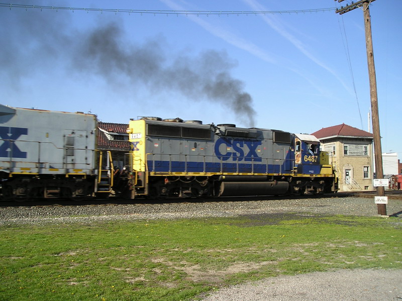 Downsized Image [P4290118.JPG - 167kB]