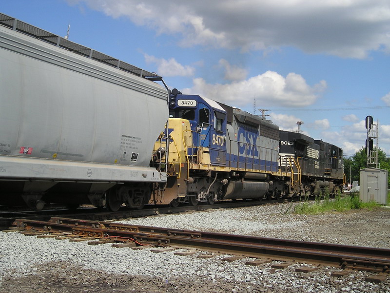 Downsized Image [csx8470.jpg - 174kB]