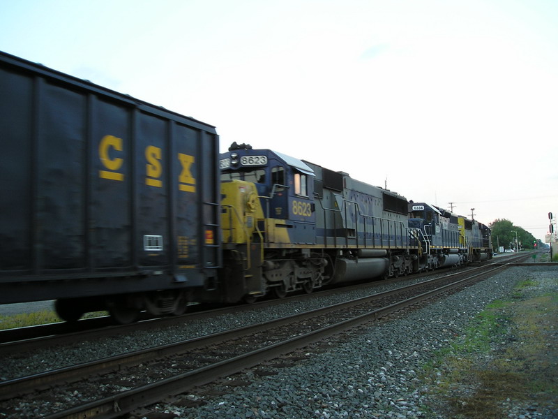 Downsized Image [csx8623.jpg - 117kB]